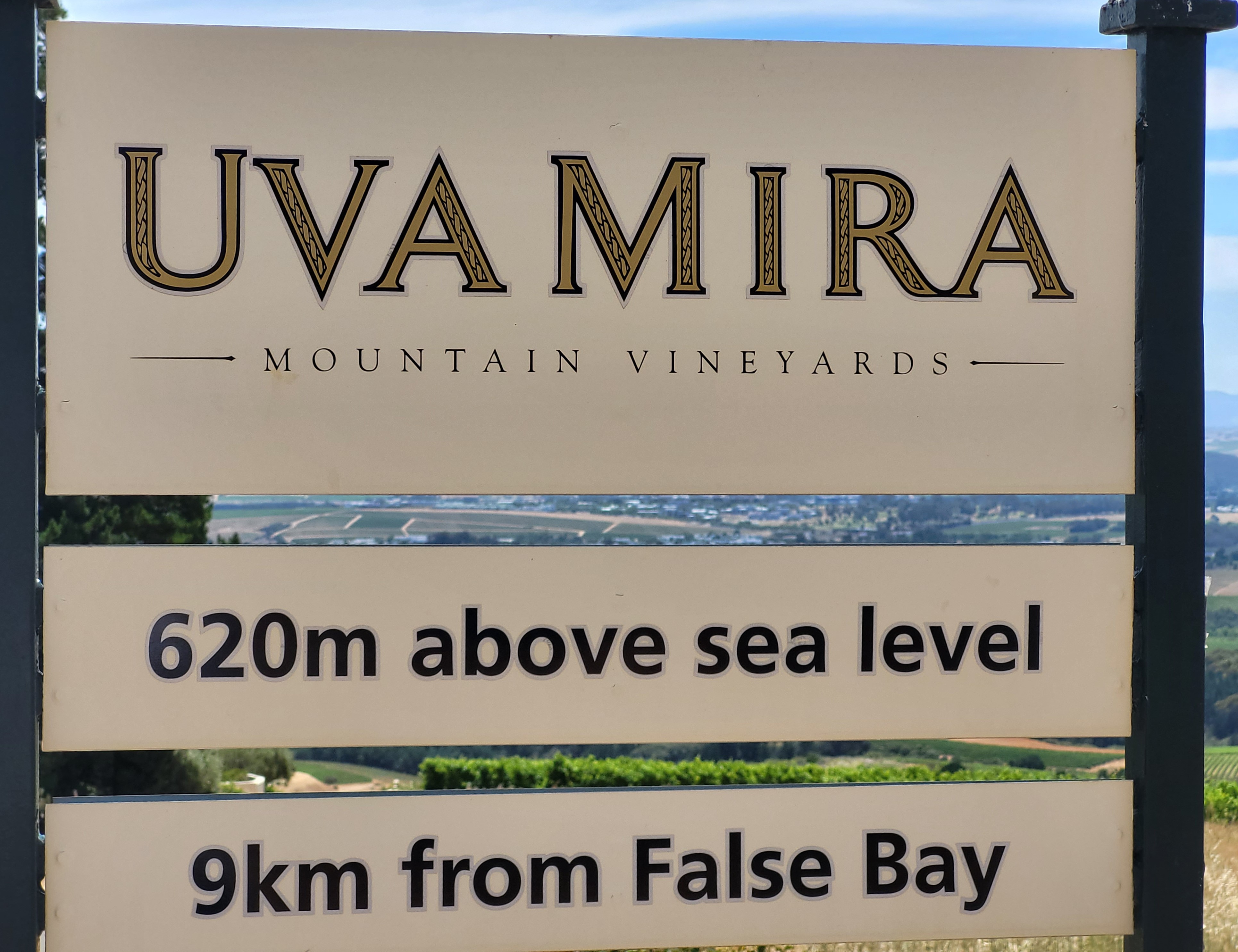 Uva Mira Mountain Vineyards